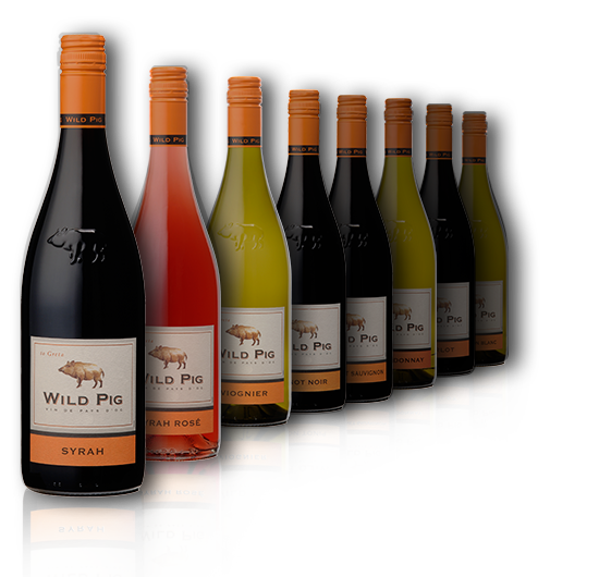 Wild pig wines